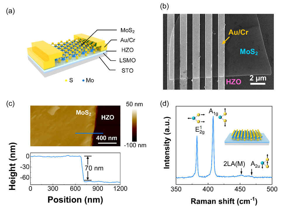 一周前沿科技盘点〔89〕丨新型电极抑制自放电，实现高效稳定储能；高响应负光电导，二硫化钼与HZO破局